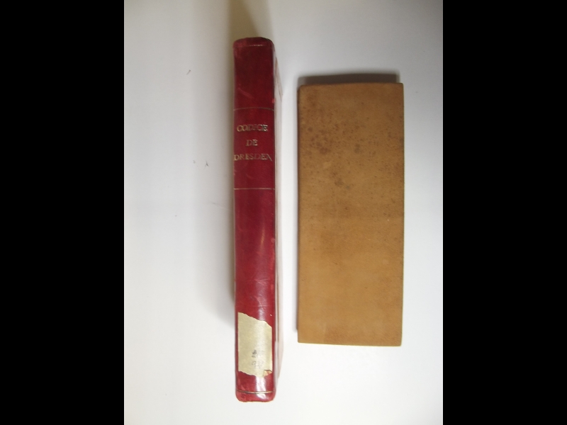 Museo Munag - CÓDICE DE DRESDEN